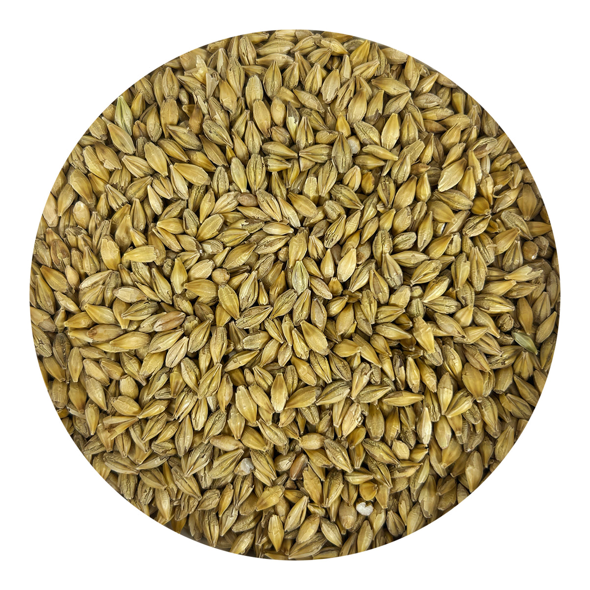 Organic Feed Whole Barley – Pacific Petfood