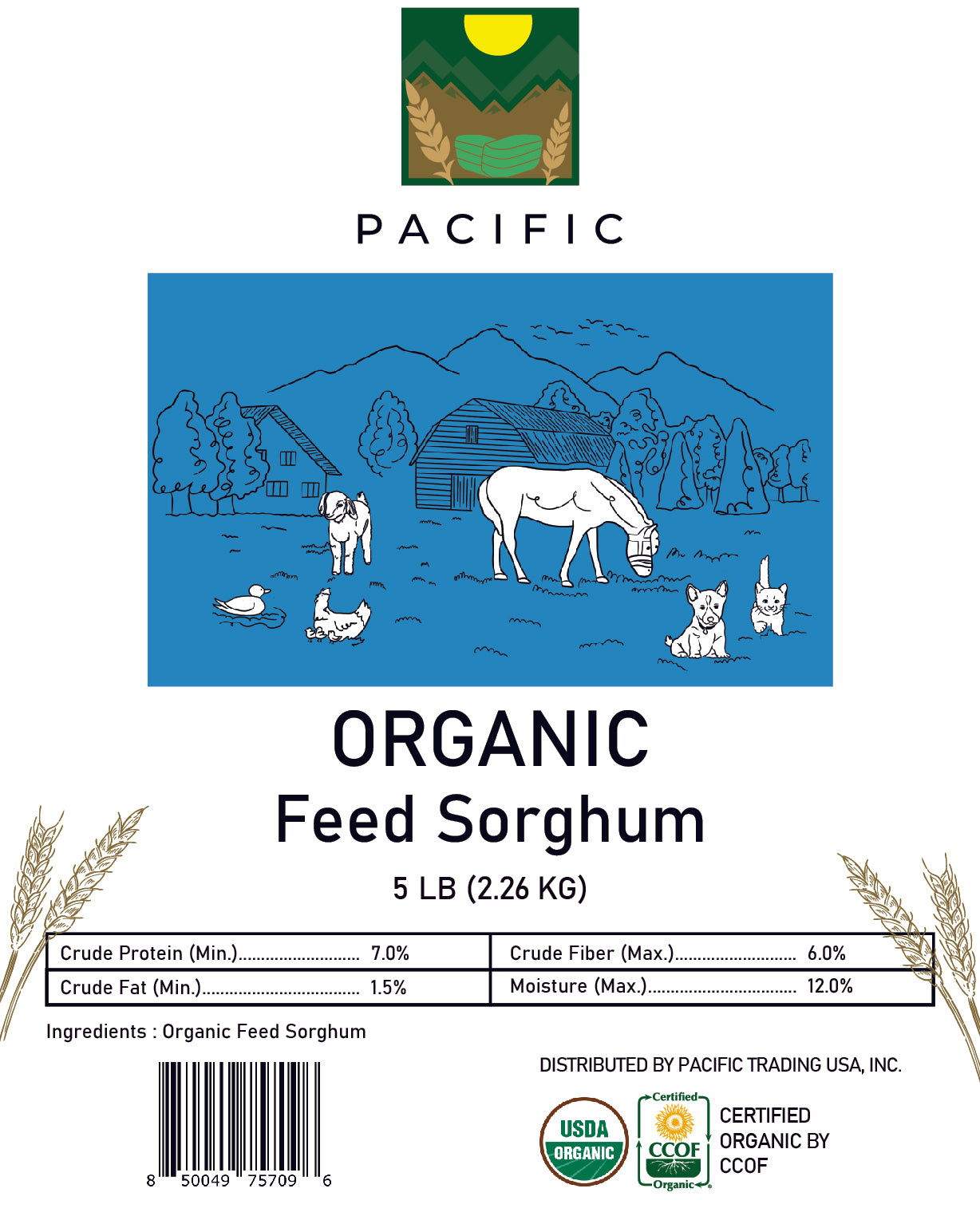 Pacific Organic Feed Sorghum – Pacific Petfood
